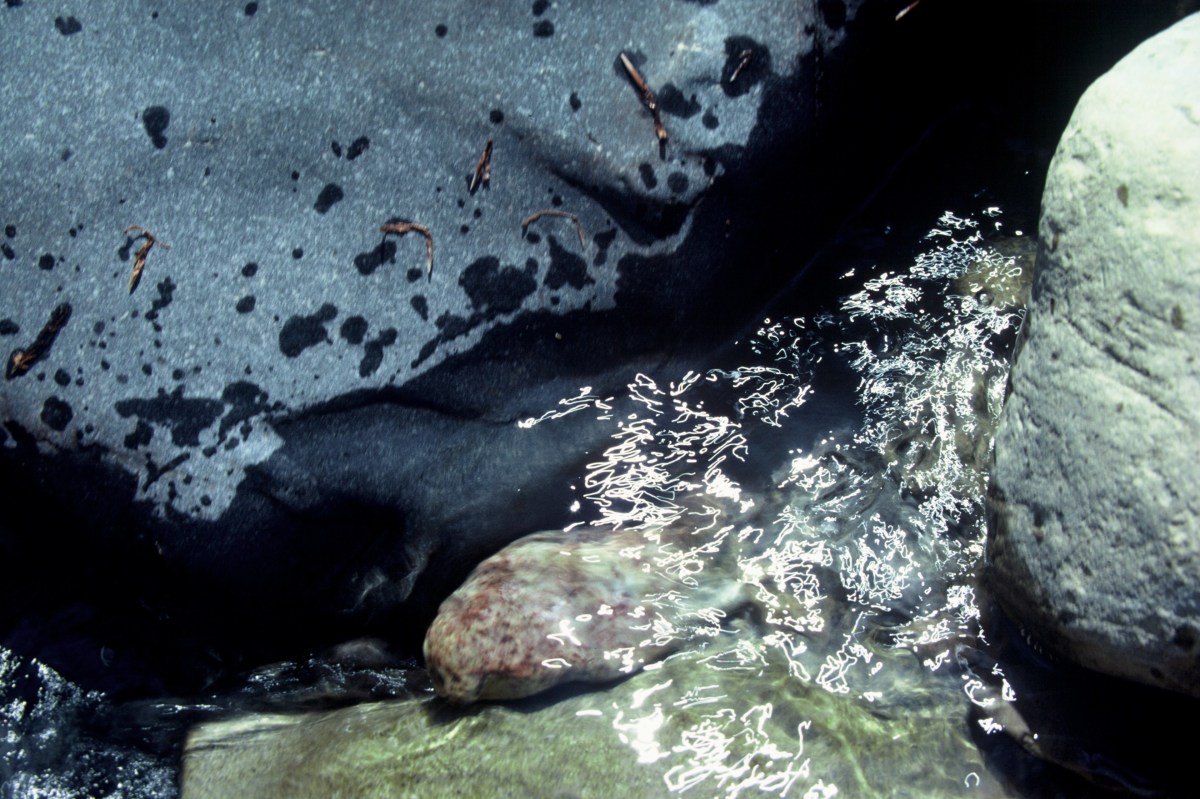 marco vanotti – Beratung & Begleitung